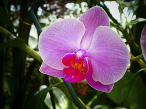 Top 6 Best Cameras For EBay Listing Photos In 2024