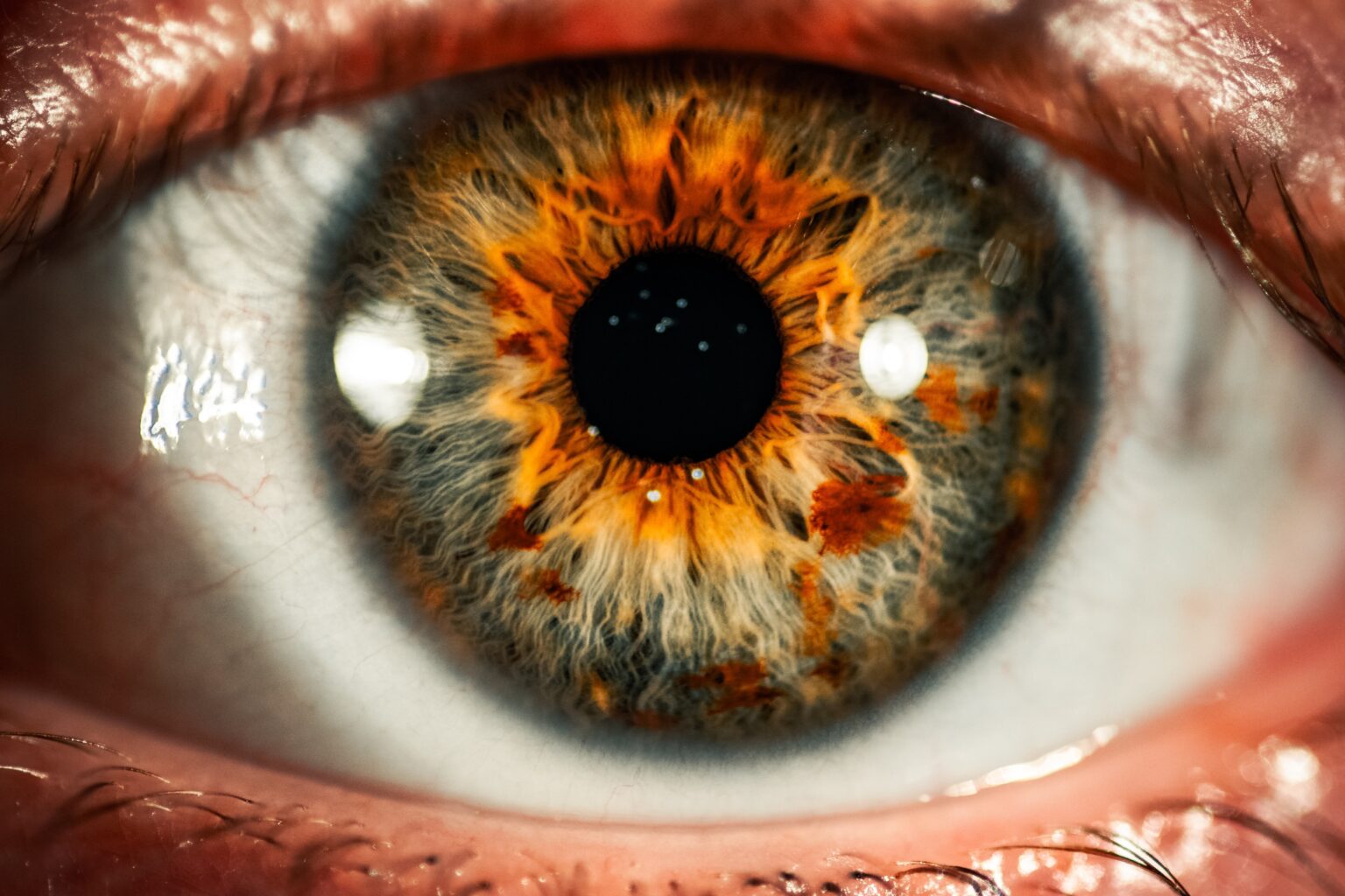 The Smart Choice Micro Vs Macro Photography