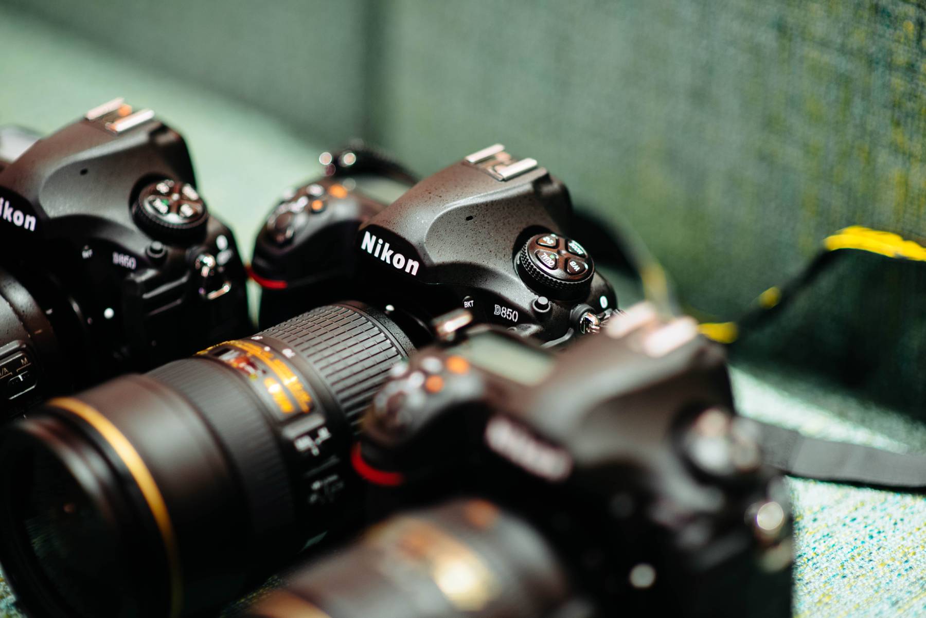 Which Is Better For Beginners Canon Vs Nikon